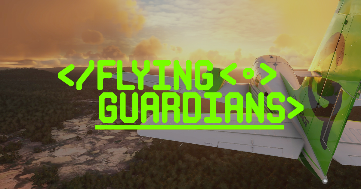 Flying Guardians